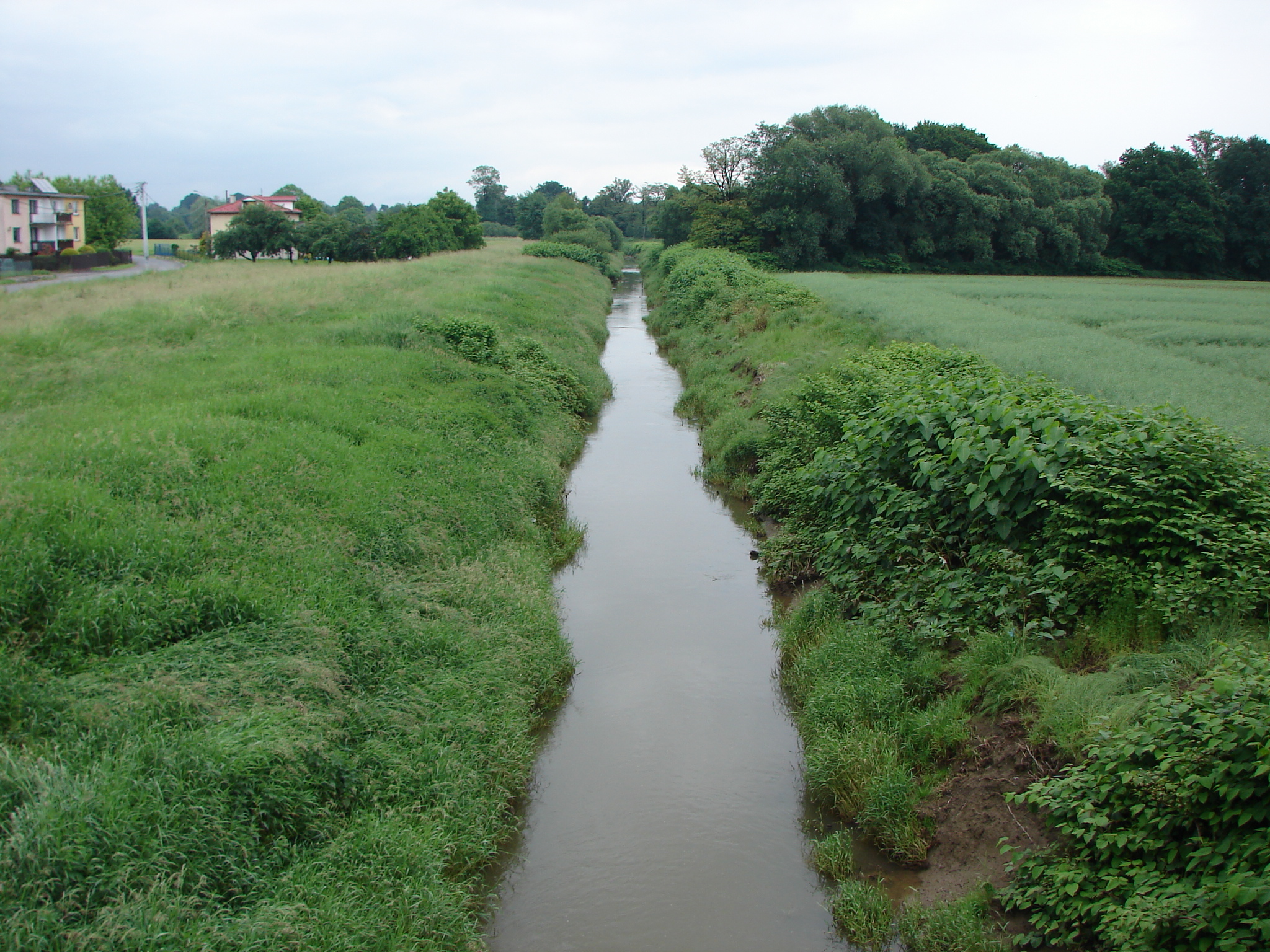 Dorzecze Wisły – IBR wiki