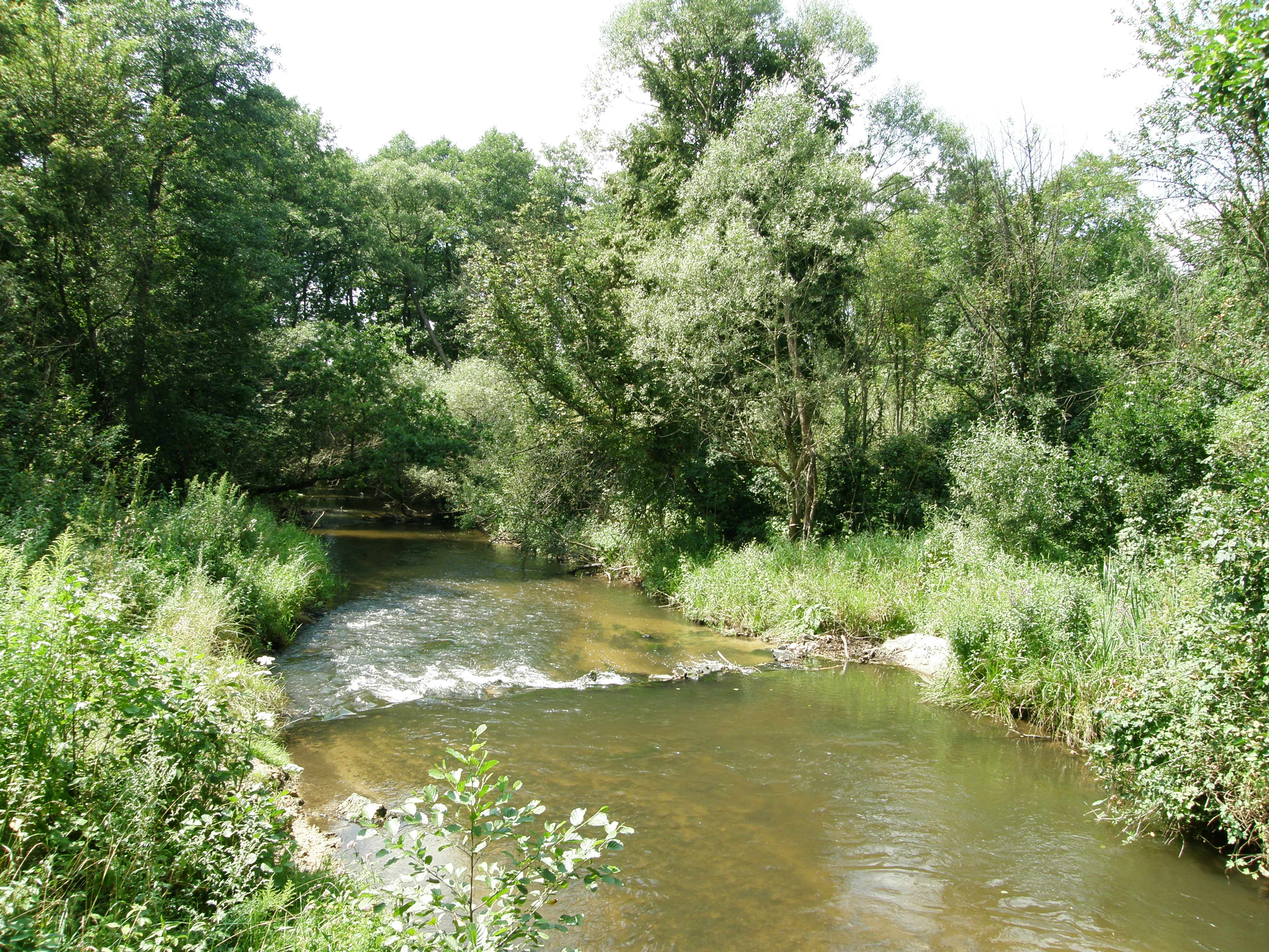 Dorzecze Wisły – IBR wiki