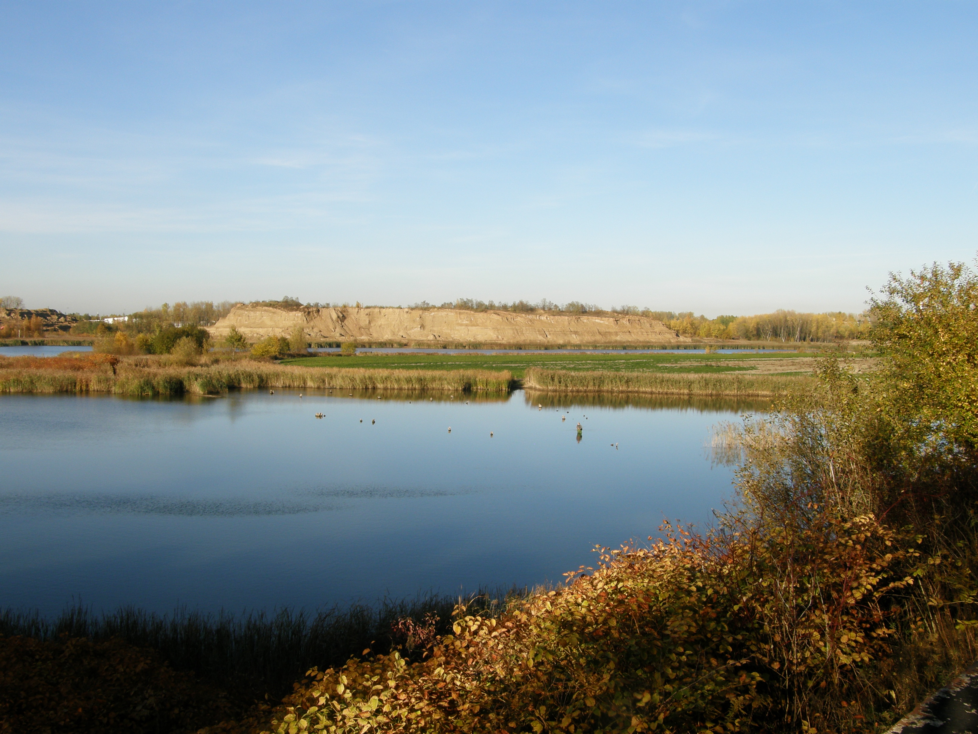 Dorzecze Odry – IBR wiki